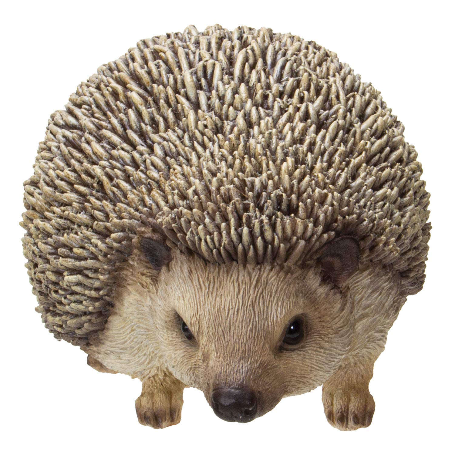 Amazon.com: Pacific Giftware Realistic Adorable Hedgehog Pet Resin ...