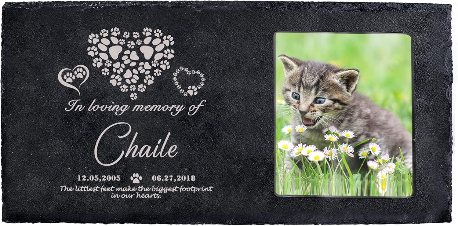 Amazon.com: Fanery Sue Custom Cat Memorial Stones with Full Color Image ...