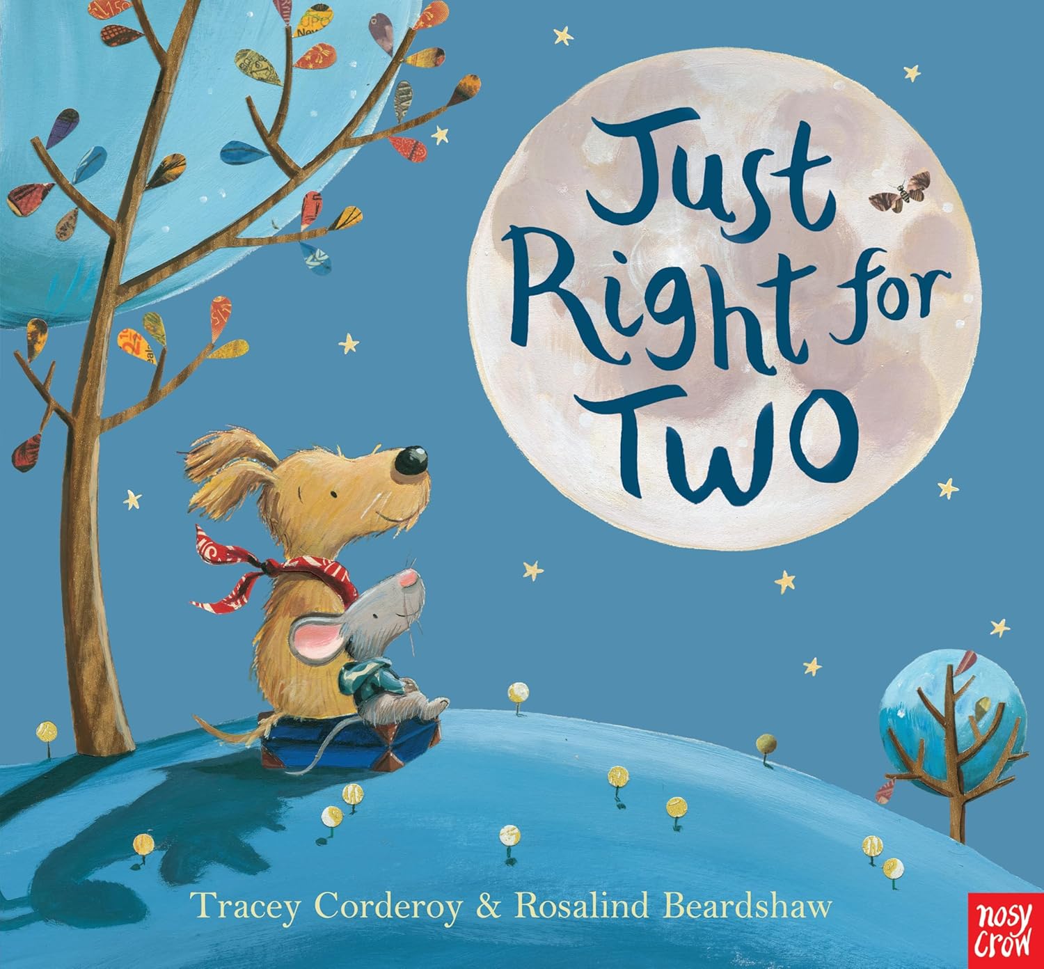 Amazon.com: Just Right for Two: 9780857631770: Corderoy Tracey: Books