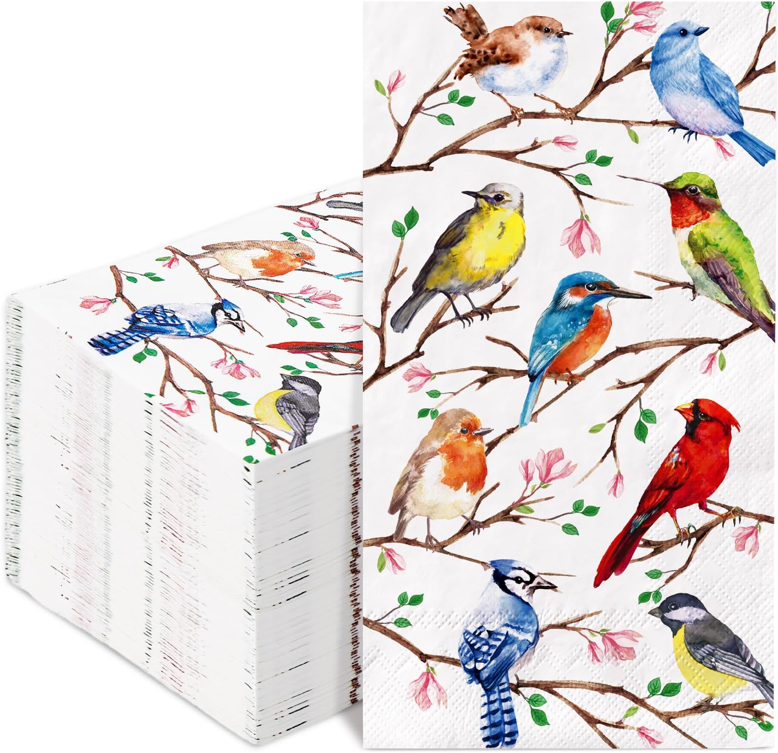 Amazon.com: Gift Boutique 100 Spring Bird Floral Cocktail Beverage ...