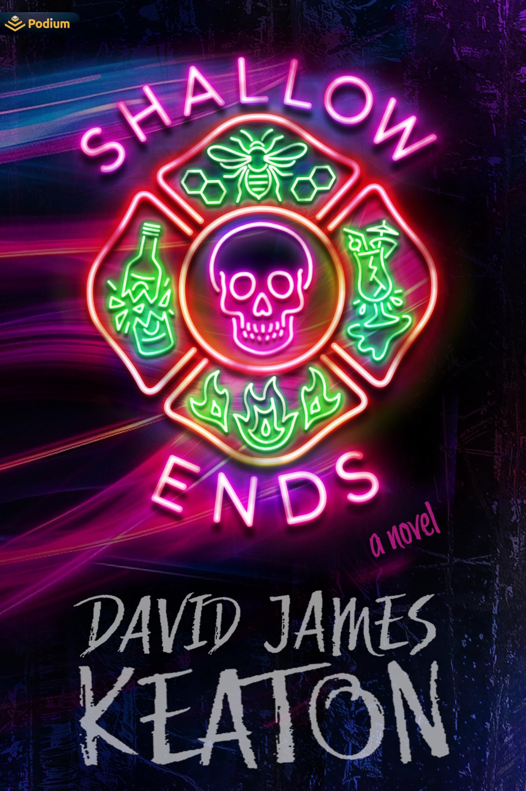 Amazon.com: Shallow Ends: A Novel: 9781039467477: Keaton, David James: Books