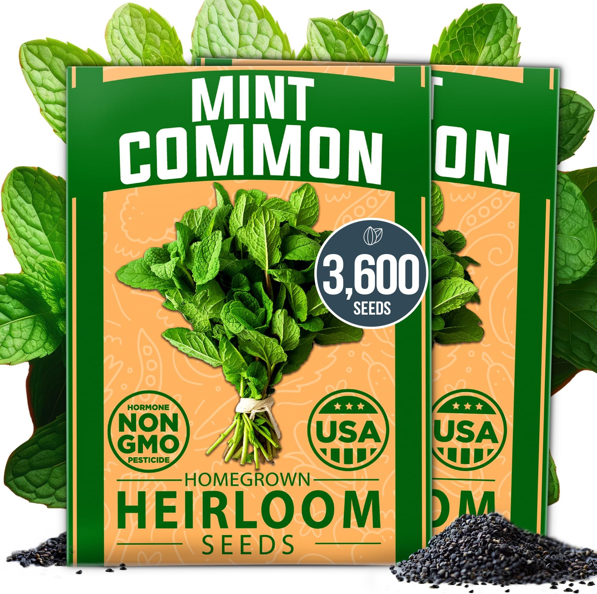 Amazon.com : 100 Strawberry Mint Herb Seeds Non-GMO Fragrant Rare US ...