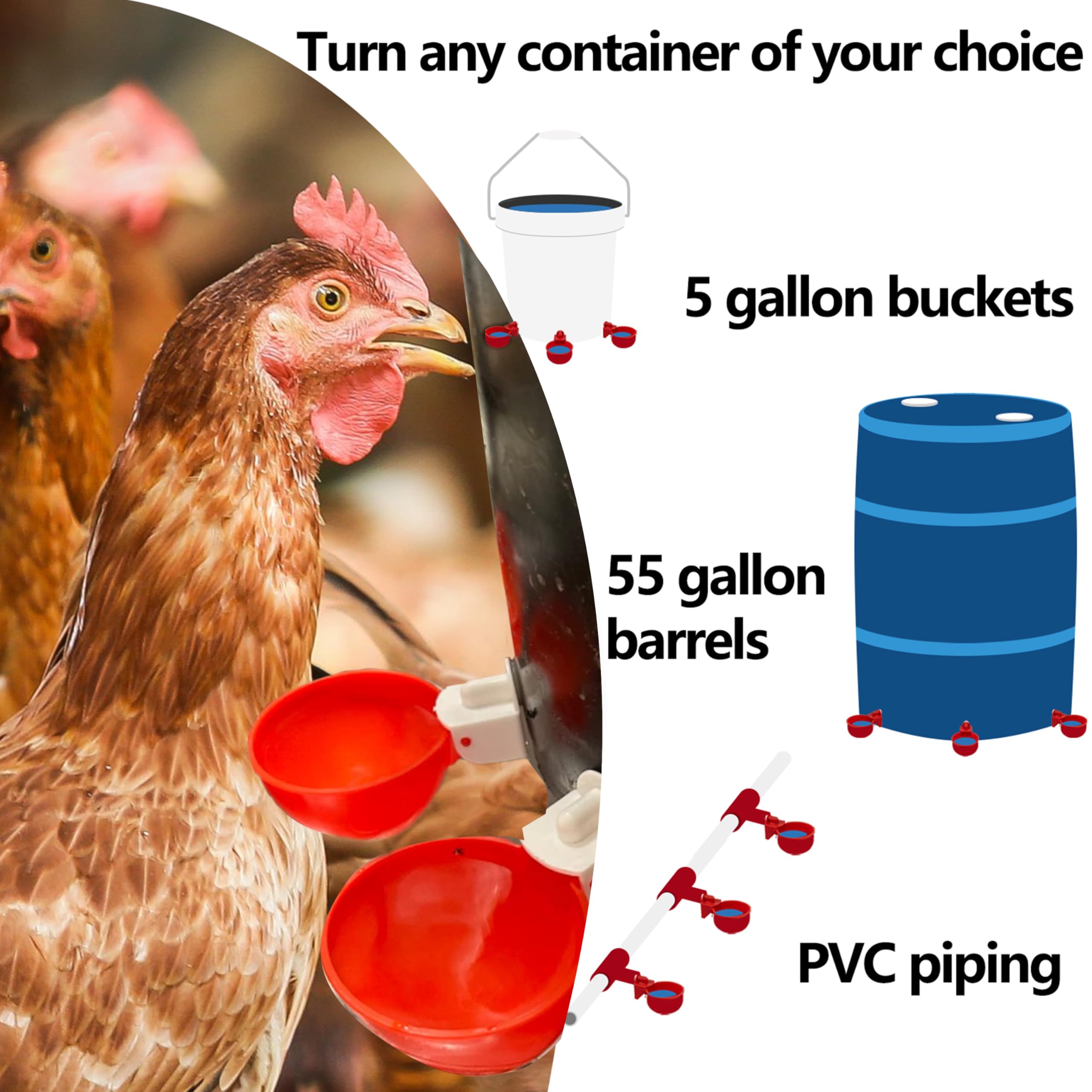 Snapklik.com : Large Poultry Waterer, Professional Chicken Water Cups ...