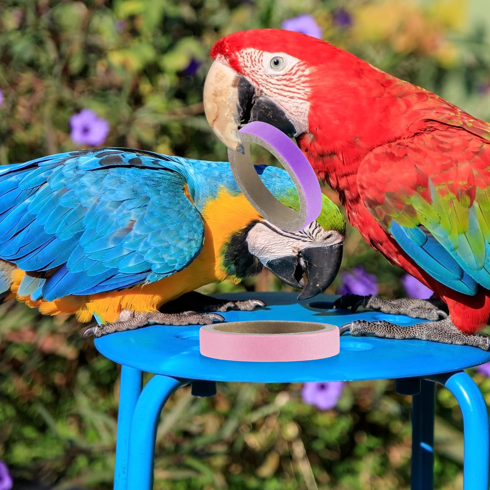 Snapklik.com : 24 Pcs Chew Bagels Bird Toys For Parrots 2.4 Inch Wood ...