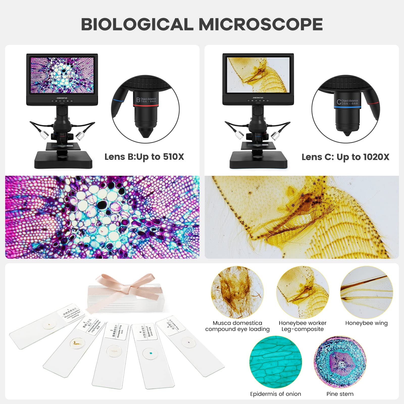 Snapklik.com : AD249-P 10.1 Inch Digital Microscope, Coin Microscope ...