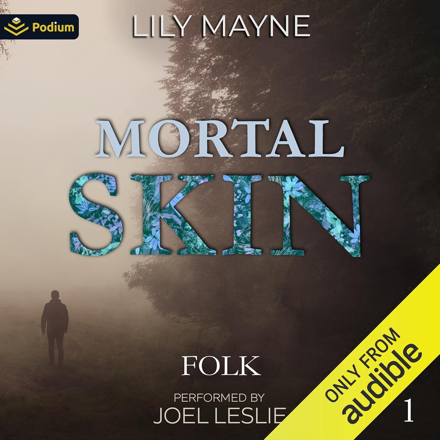 Amazon.com: Mortal Skin: Folk, Book 1 (Audible Audio Edition): Lily ...