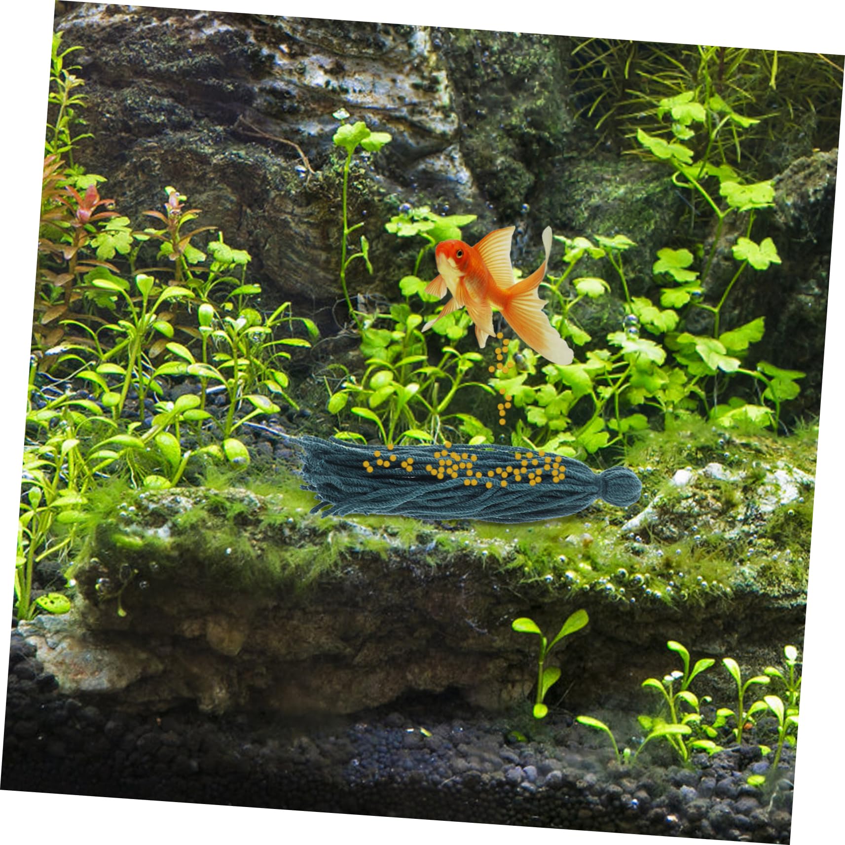 KONTONTY 5 Pcs Fish Spawning Mops for Angelfish and Aquatic Pets Safe ...