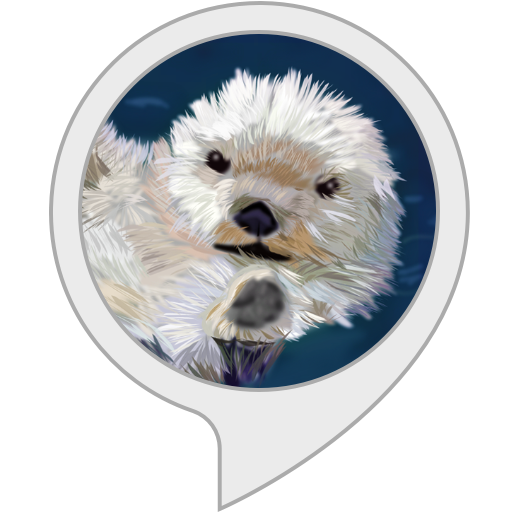 Amazon.com: Sea Otter Facts : Alexa Skills