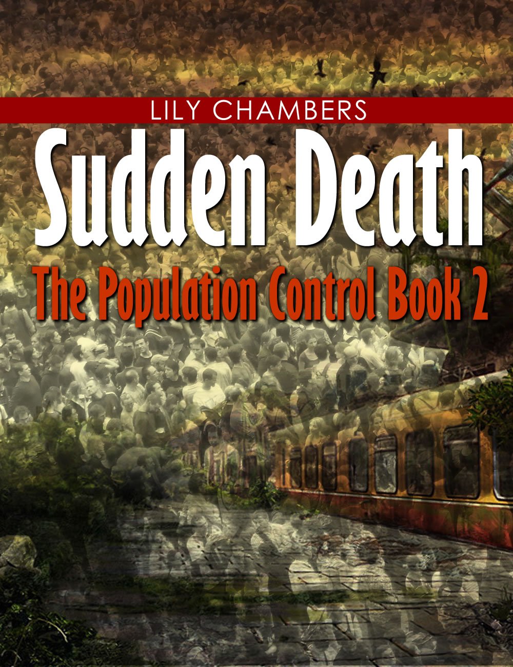 Sudden Death (Book 2 In The Population Control) eBook : Chambers, Lily ...