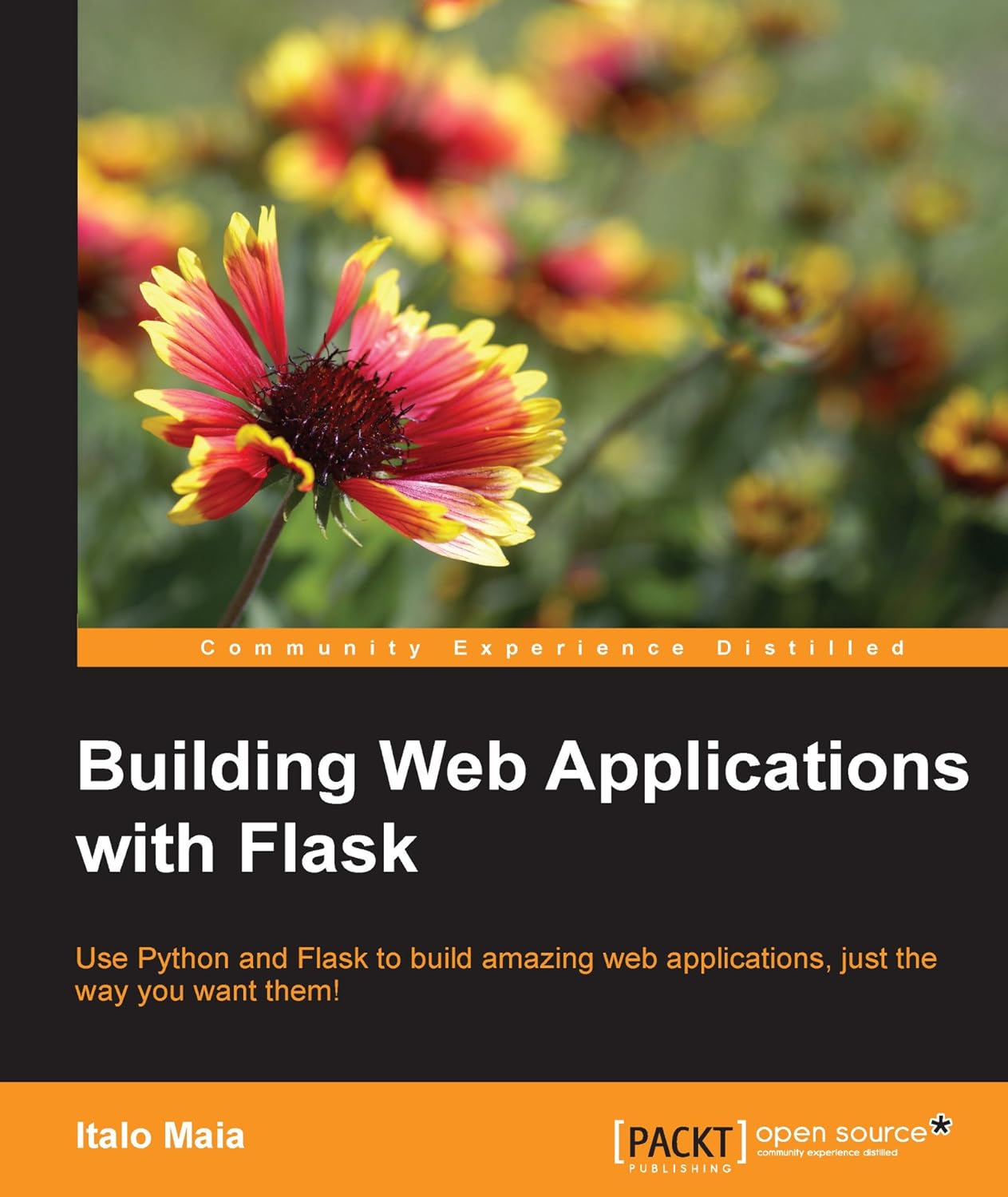 Building Web Applications with Flask , Maia, Italo, eBook - Amazon.com