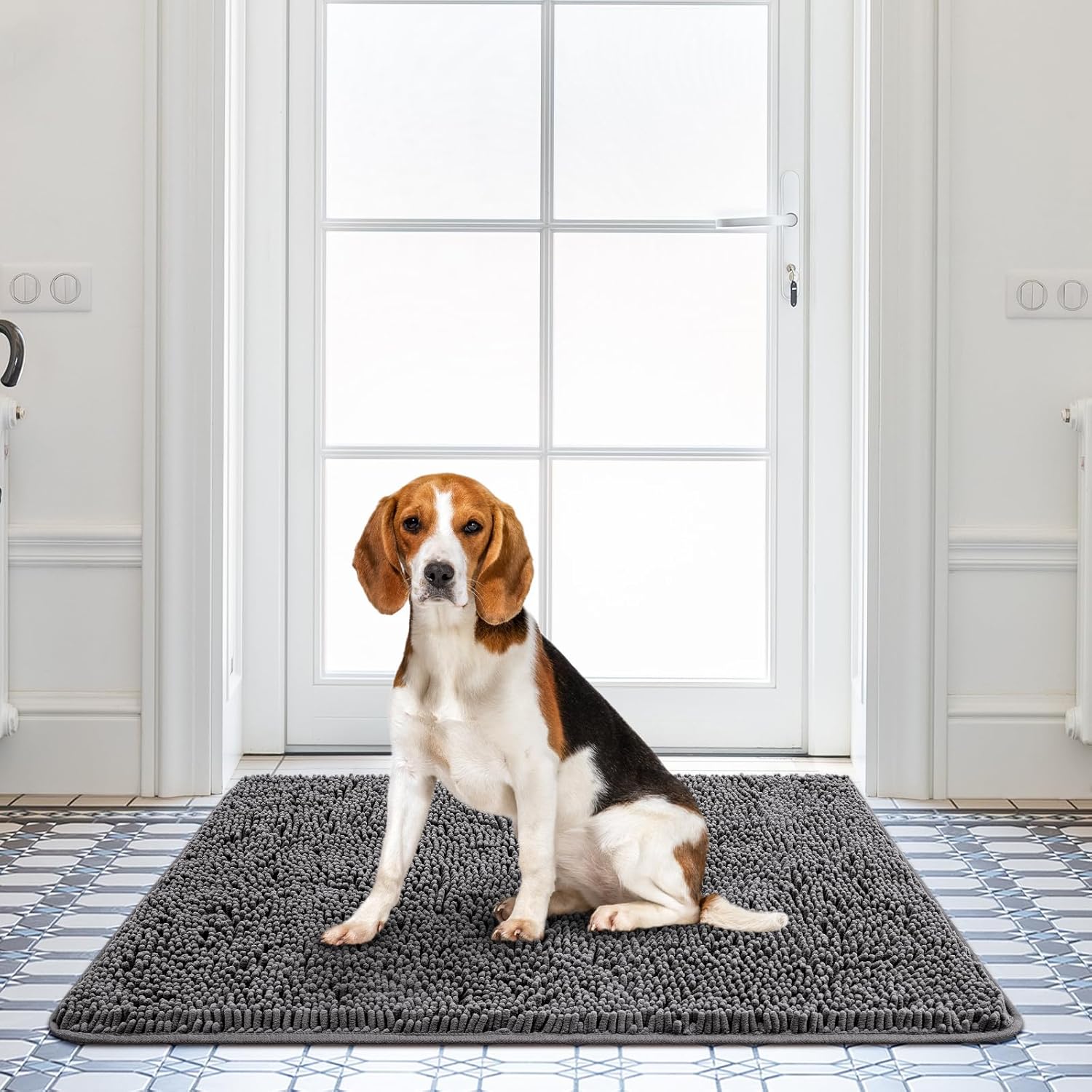Amazon.com: DweIke Indoor Door Mat Entryway Dog Rugs, 60x24 Grey Front ...