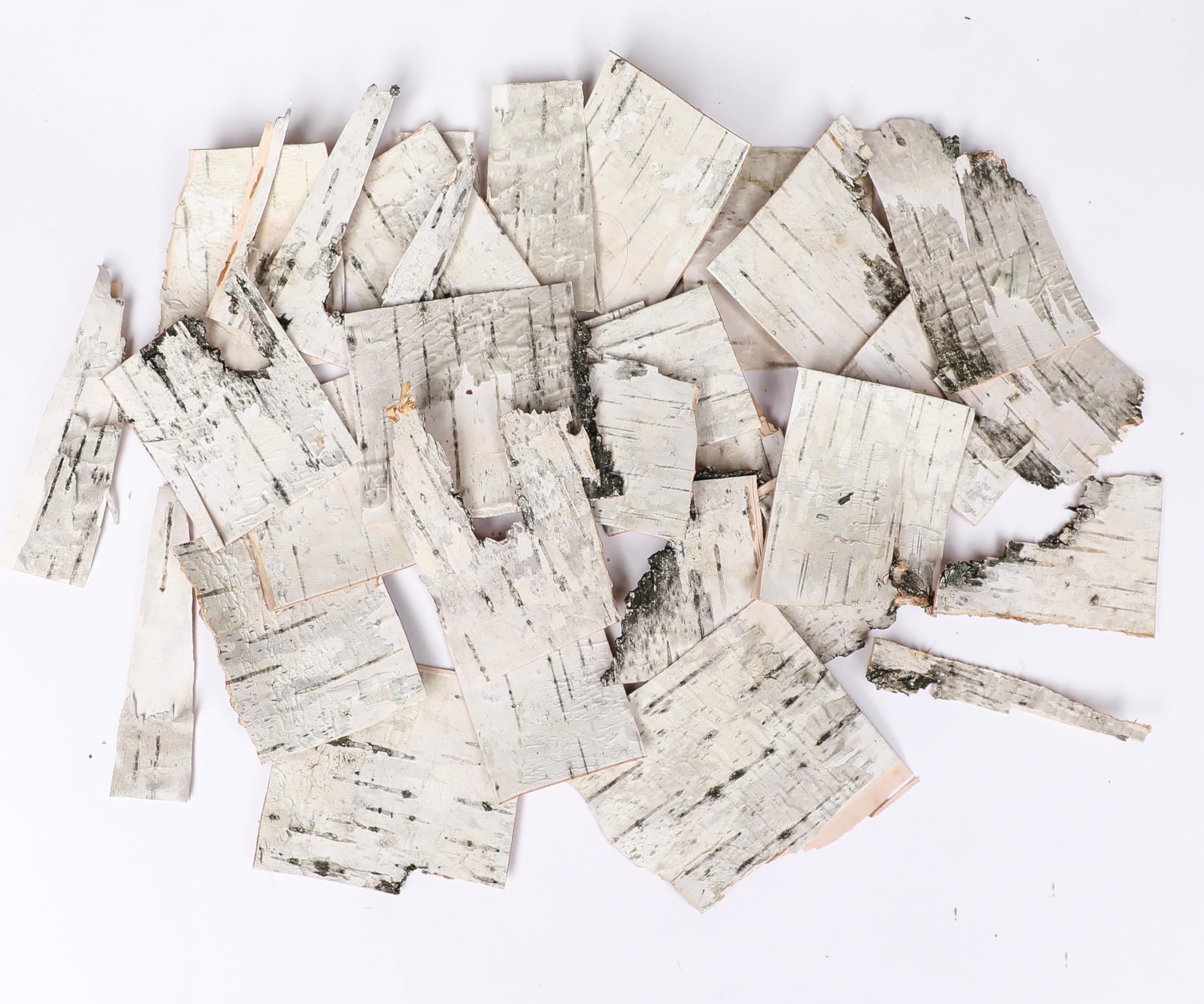 Amazon.com: Natural Birch Bark Sheets for Decor Craft Different Sizes ...