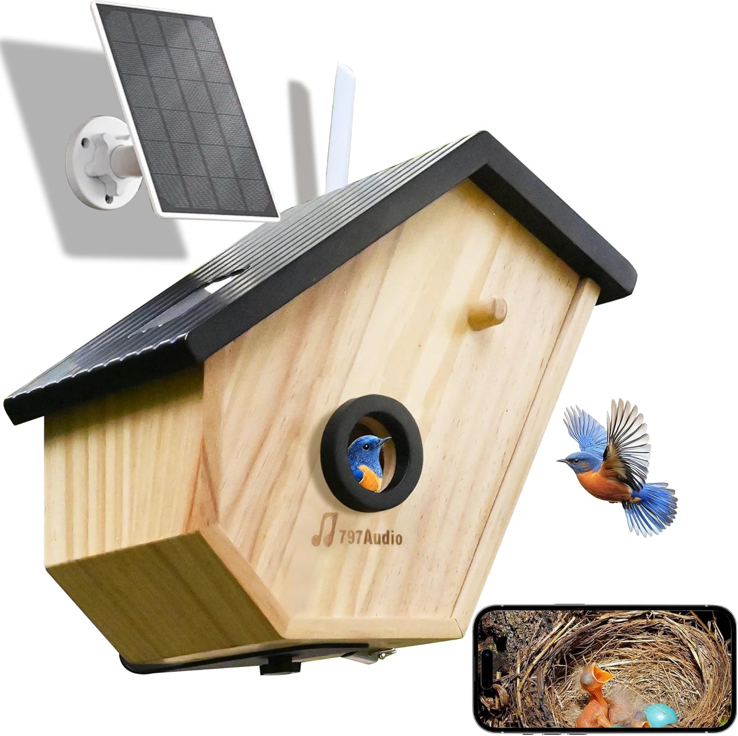 Amazon.com: Smart Bird House with Camera for Outside Solar Powered, 2K ...