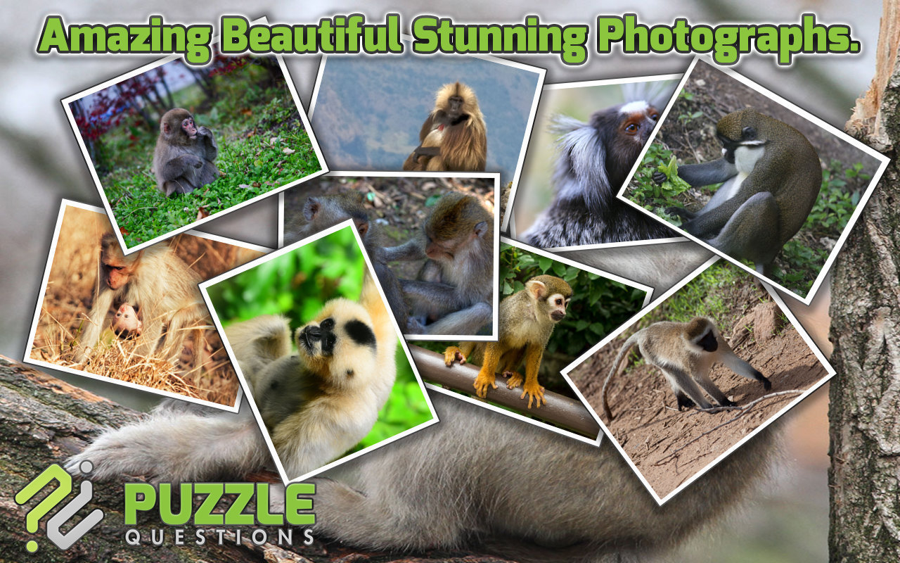 Monkey Jigsaw Puzzle Games - App on Amazon Appstore