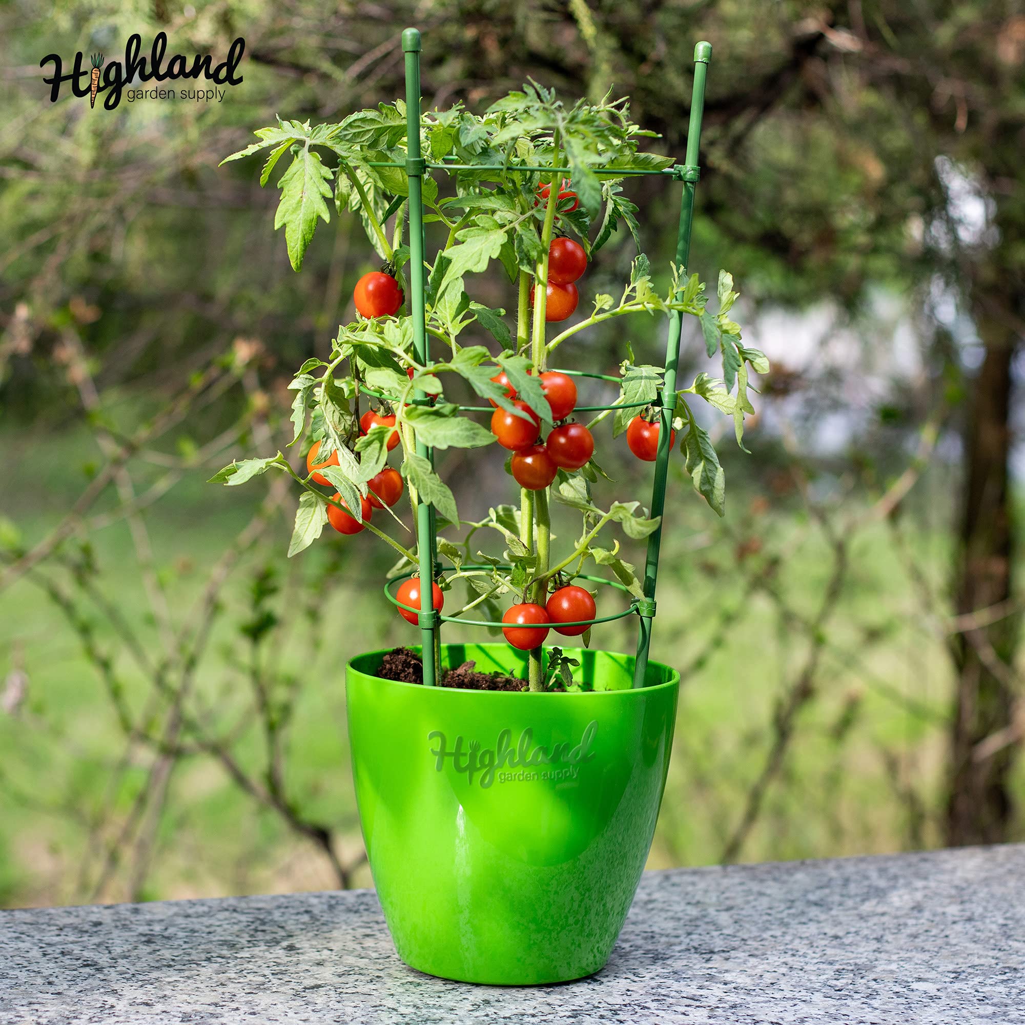 Tomato Cage Plant Support GROWNEER 3 Pack Plant Cages Assembled Tomato