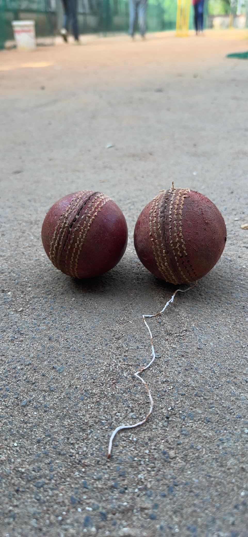 SMT Leather Cricket Ball for Tests/One-Day Matches and Practice ...