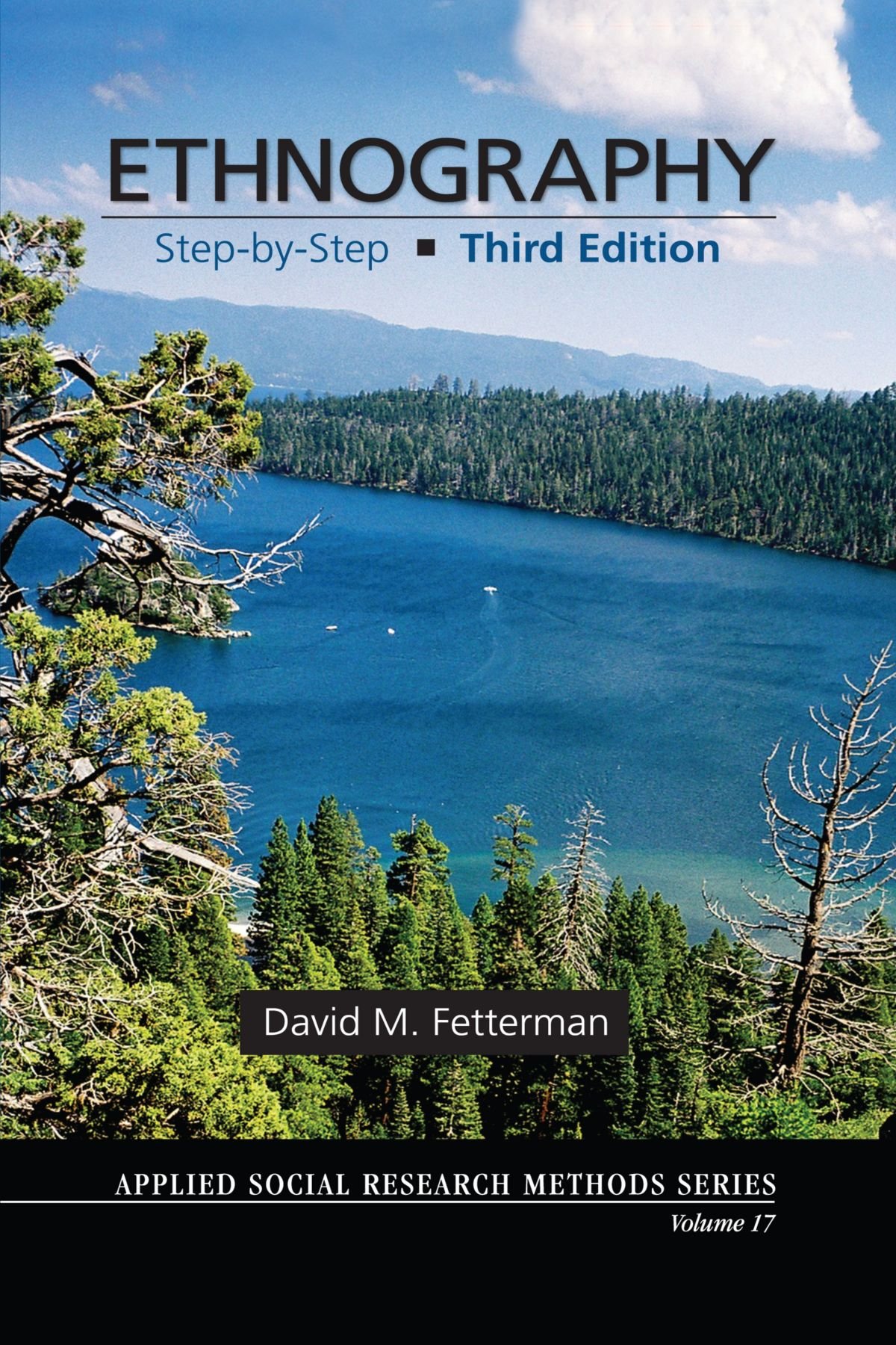 Ethnography: Step-by-Step (Applied Social Research Methods): Fetterman ...