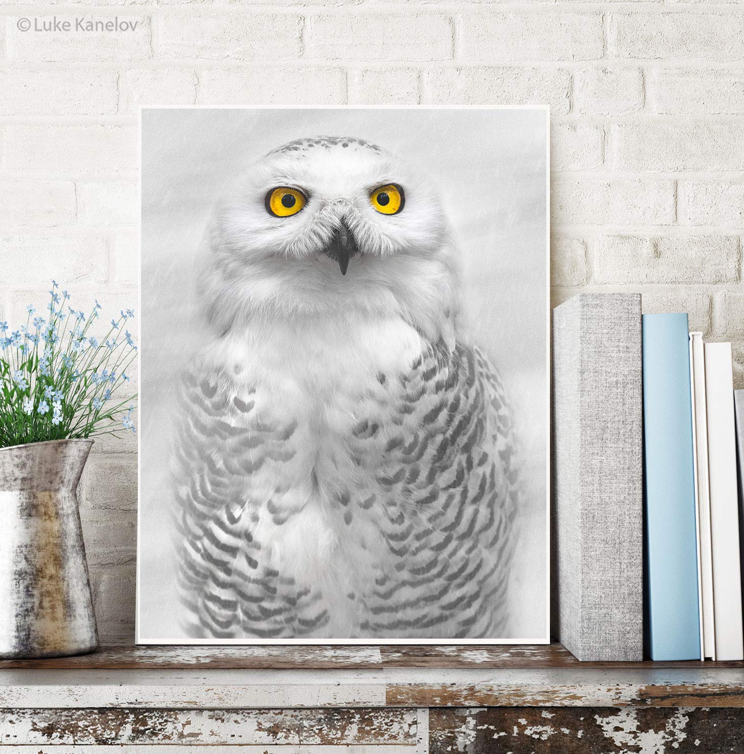 Amazon.com: Snowy Owl Print 12x16 inches, Bird Fine Art, Wildlife ...