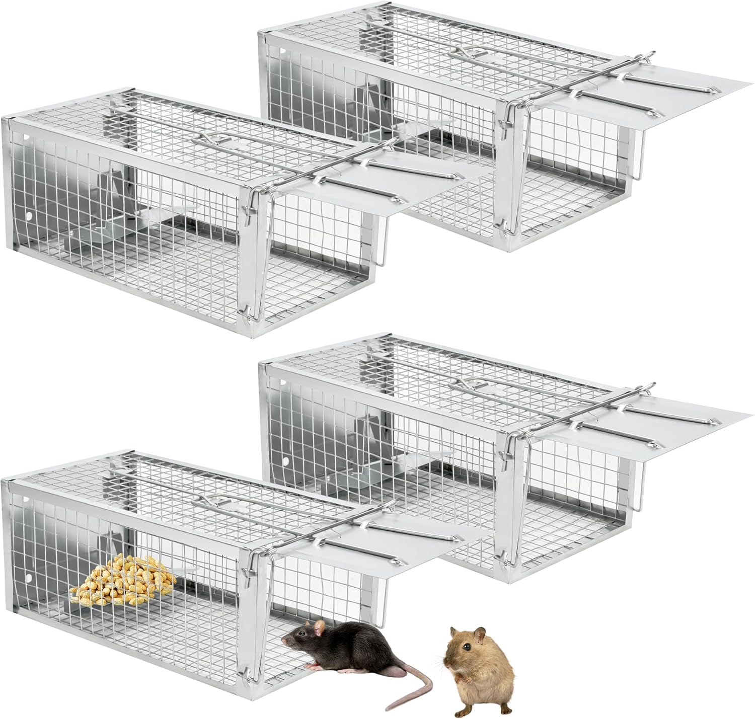 Amazon.com : 4 Pack Humane Rat Traps - Have a Heart Mouse Trap for ...