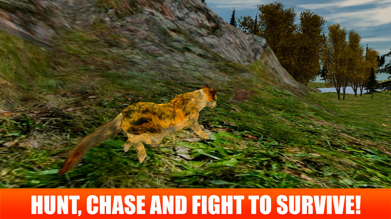 Wild Cat Survival 3D - App on the Amazon Appstore