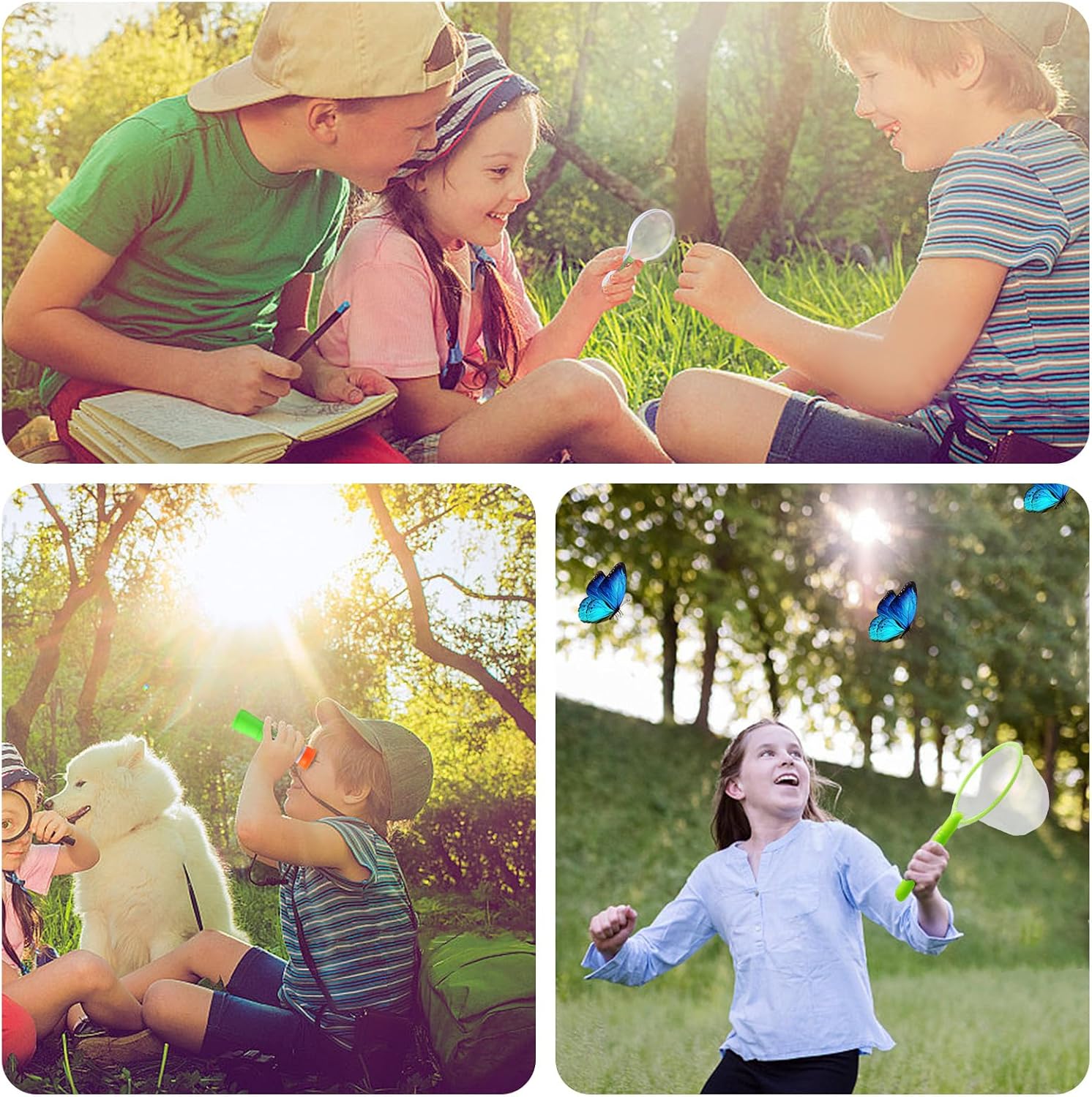 VOD VISUAL Kit de atrapa insectos, estuche para criaturas con LED ...