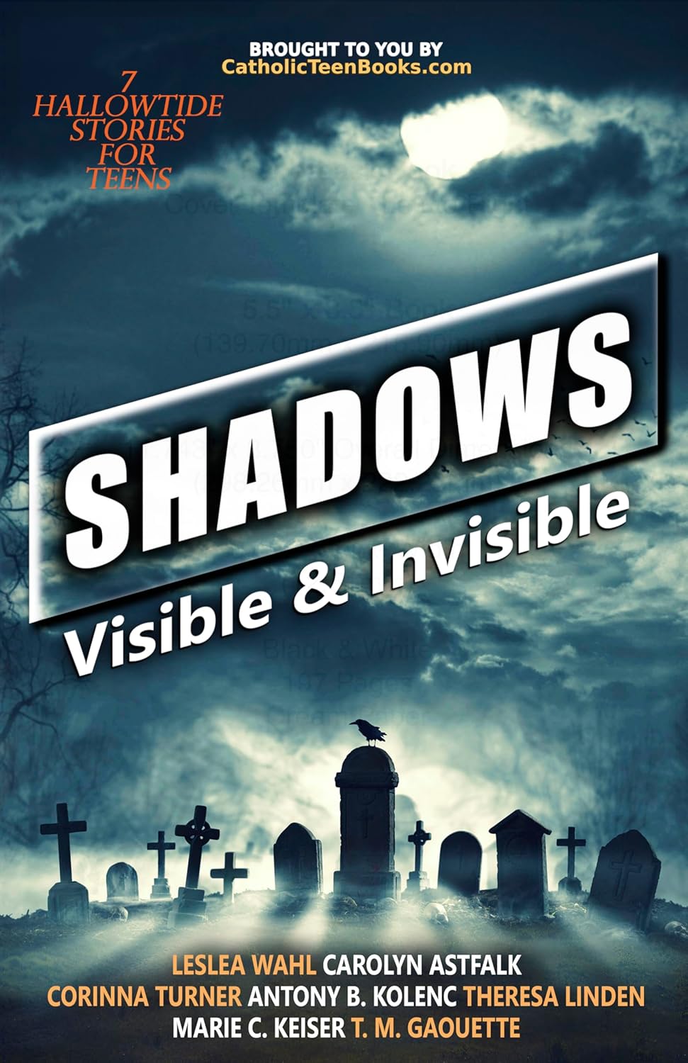 Amazon.com: Shadows: Visible & Invisible (Catholic Teen Books Visible ...