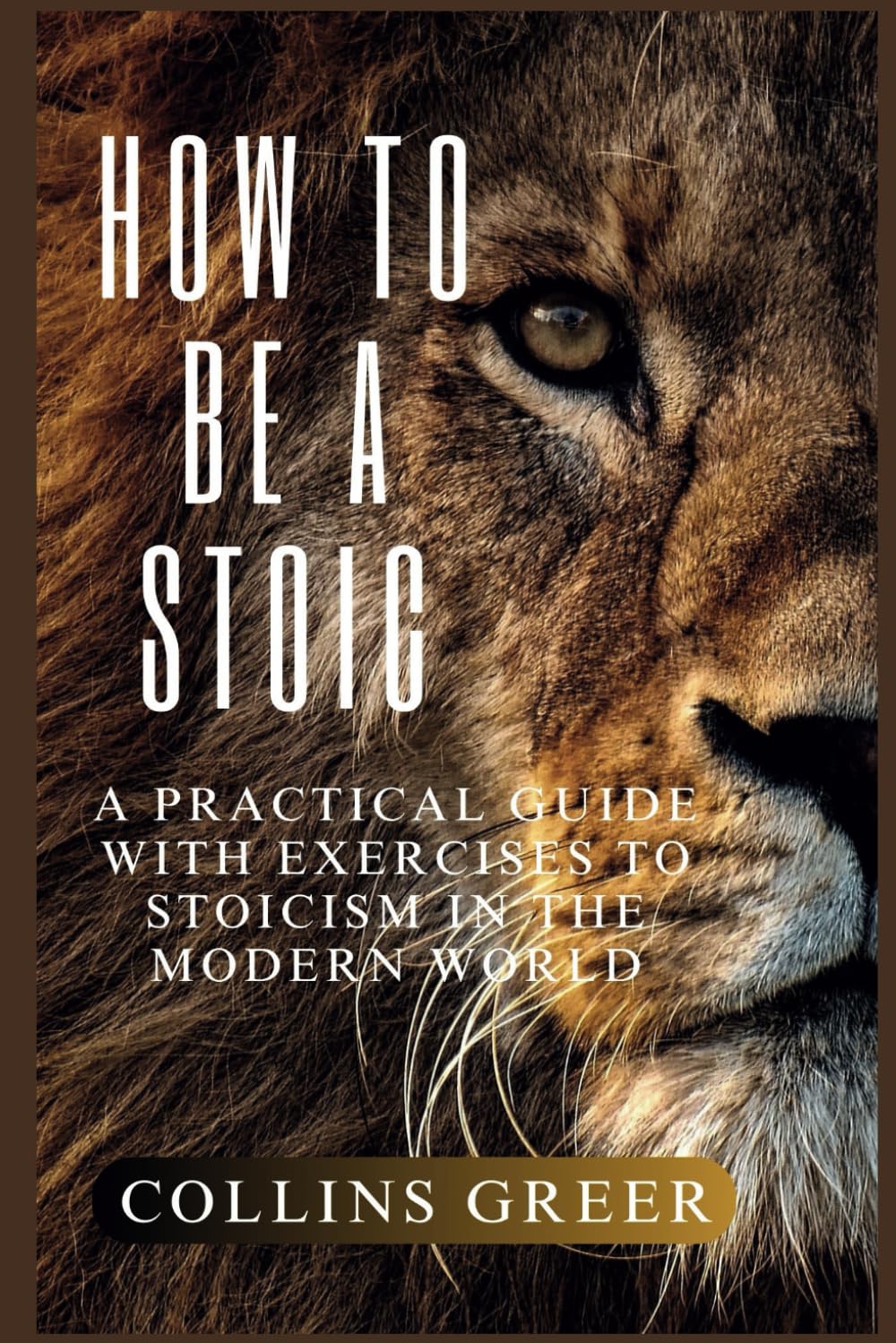 How to be a Stoic: A practical guide with Exercises to Stoicism in the ...