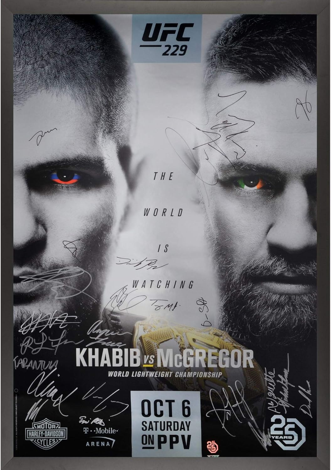 Amazon.com: UFC 229 Nurmagomedov vs. McGregor Framed Autographed 27" x ...