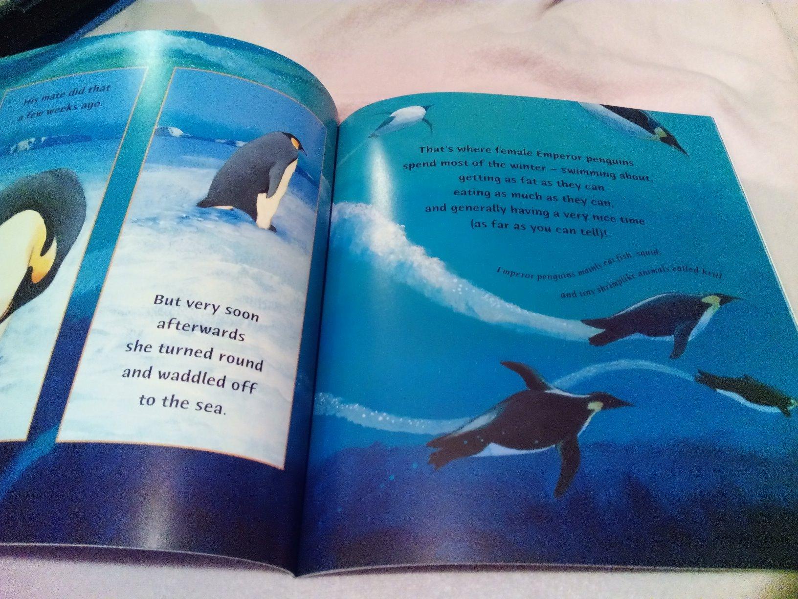 The Emperor's Egg: Amazon.co.uk: Jenkins, Martin, Chapman, Jane ...