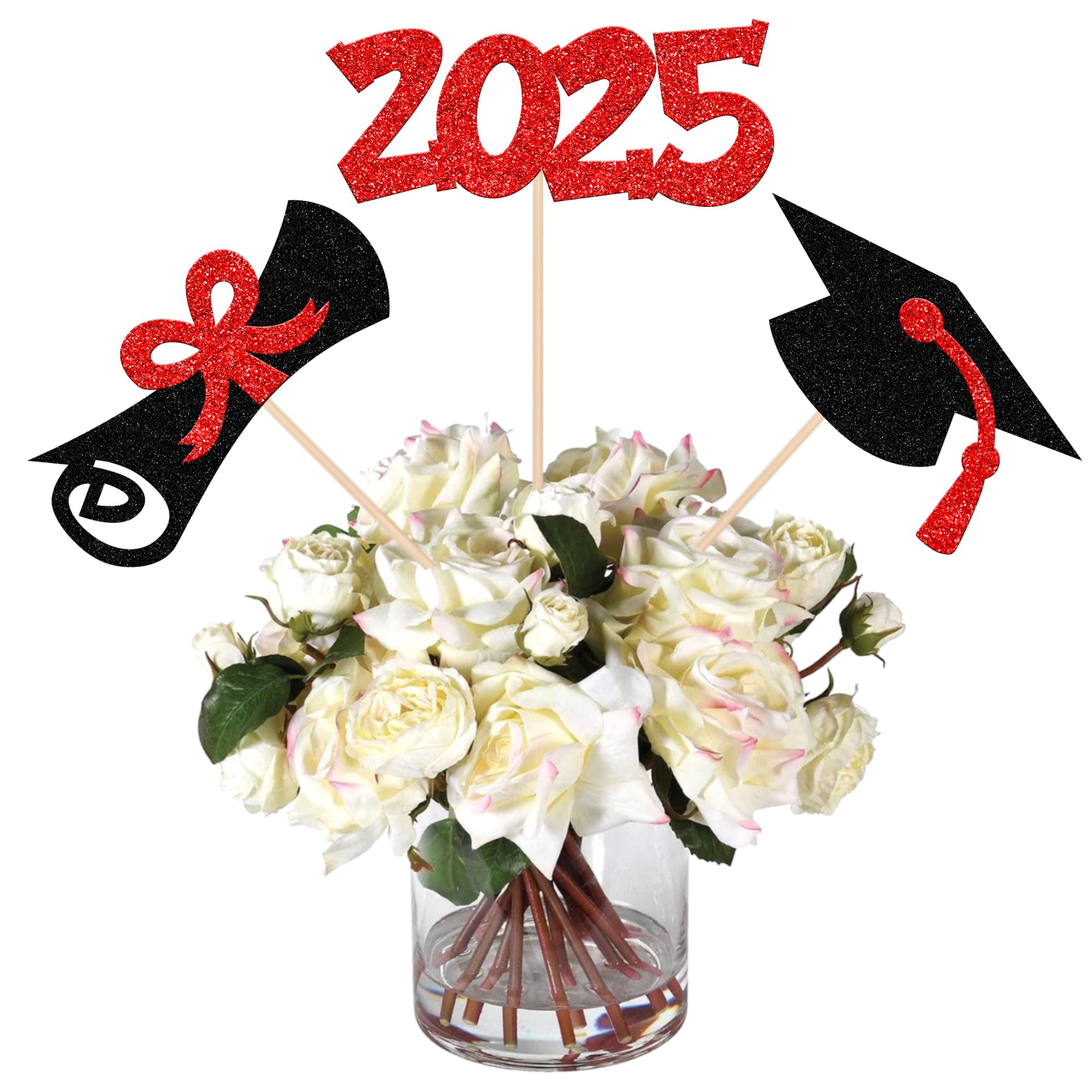 Snapklik.com : 12 PCS Double Sided Glitter 2025 Graduation Party ...