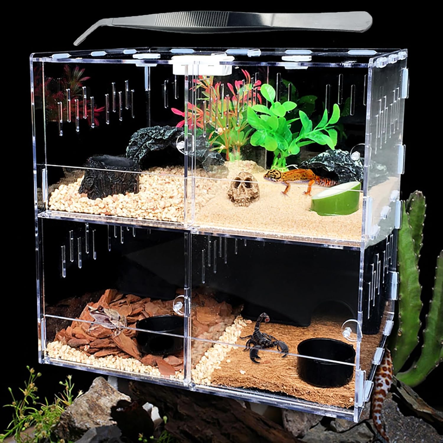 Amazon.com: Reptile Terrarium Tank,4 Grids Reptile Cage Enclosure Box ...