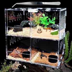 Amazon.com: TREELF Tanque de terrario de reptiles, caja de 4 rejillas ...