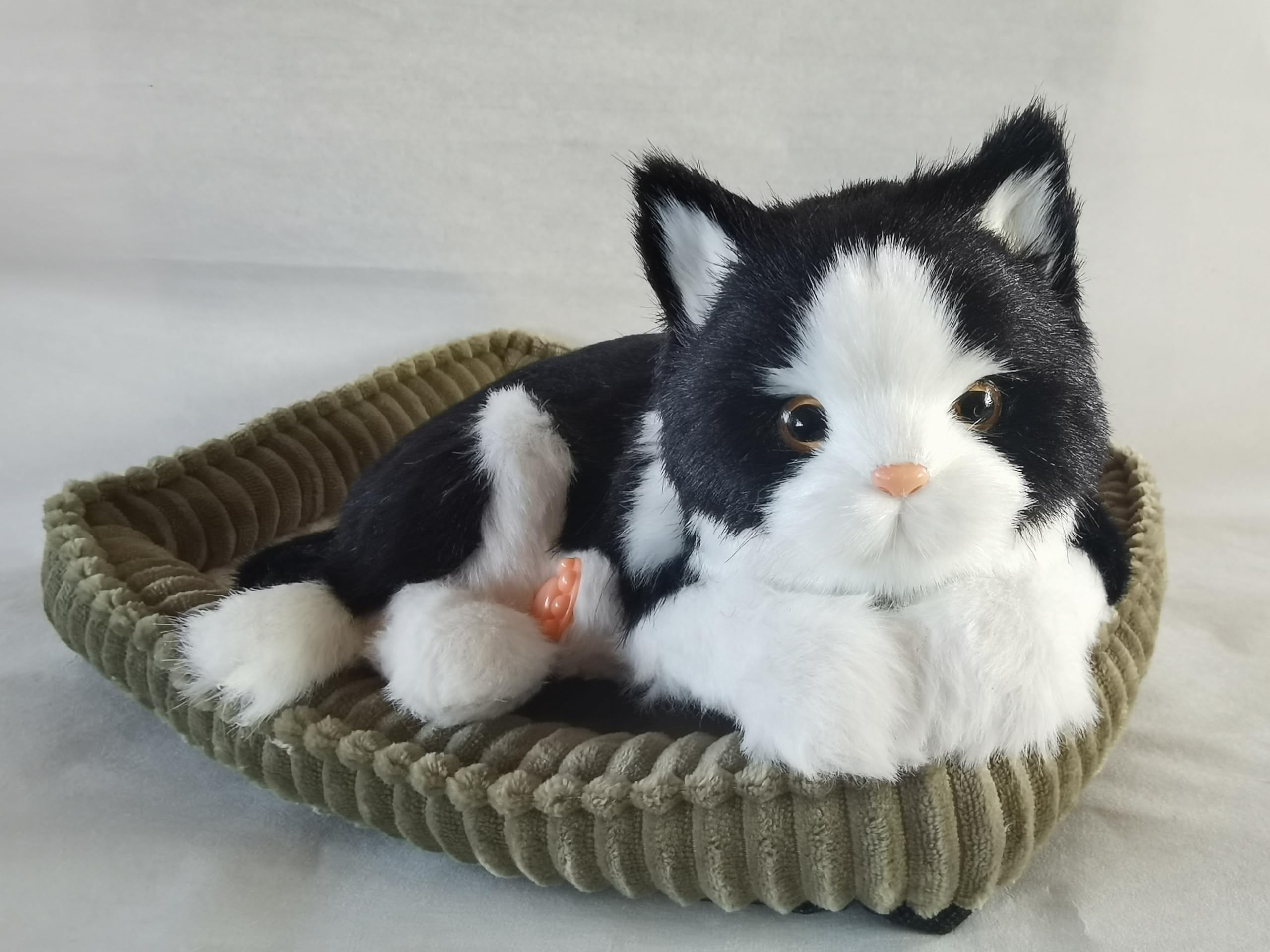 Amazon.com: PawFection Pets Black and White Shorthair Cat, Realistic ...