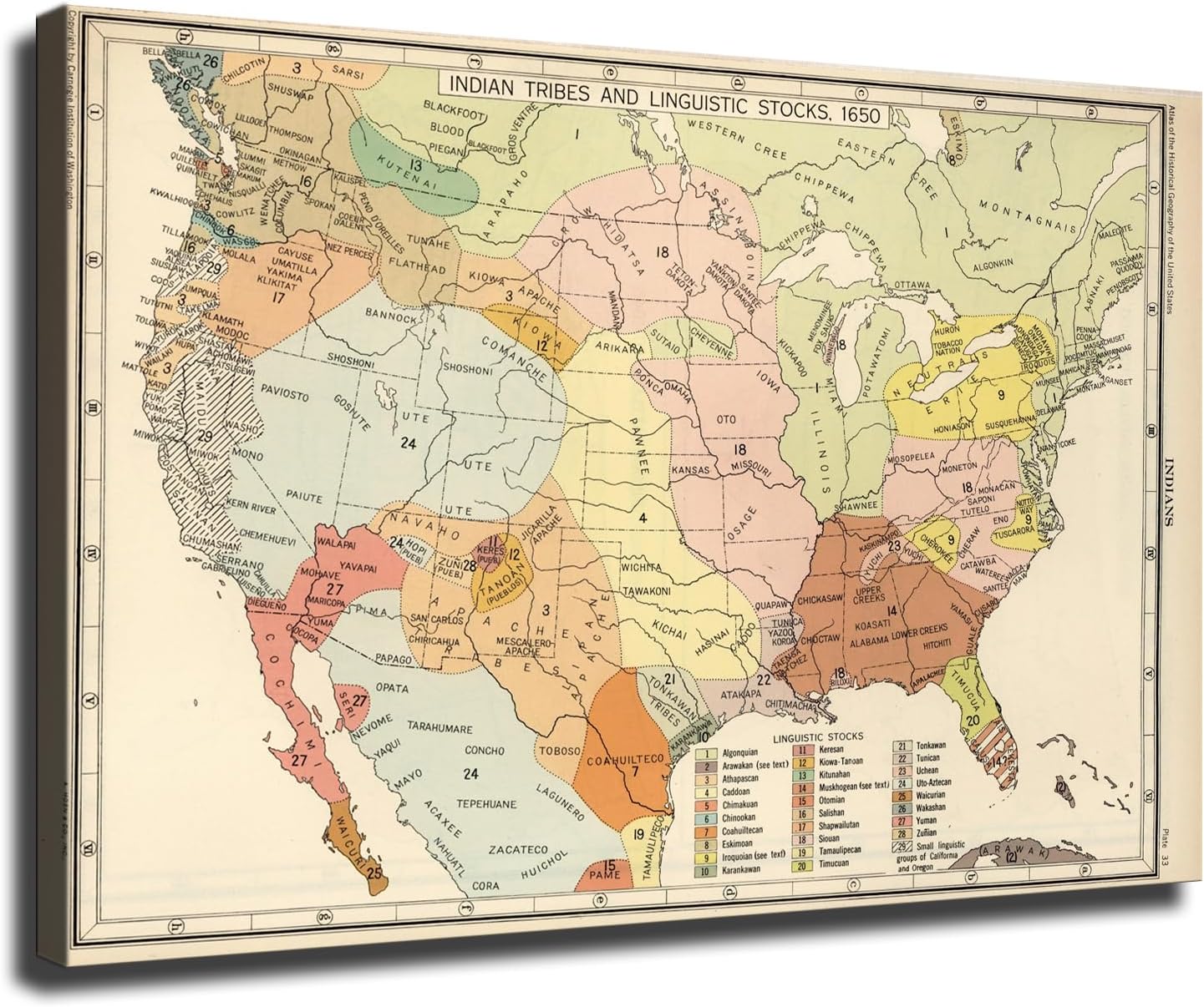 Amazon.com: Indian Tribes & Linguistic Stocks Native American Lands Map ...
