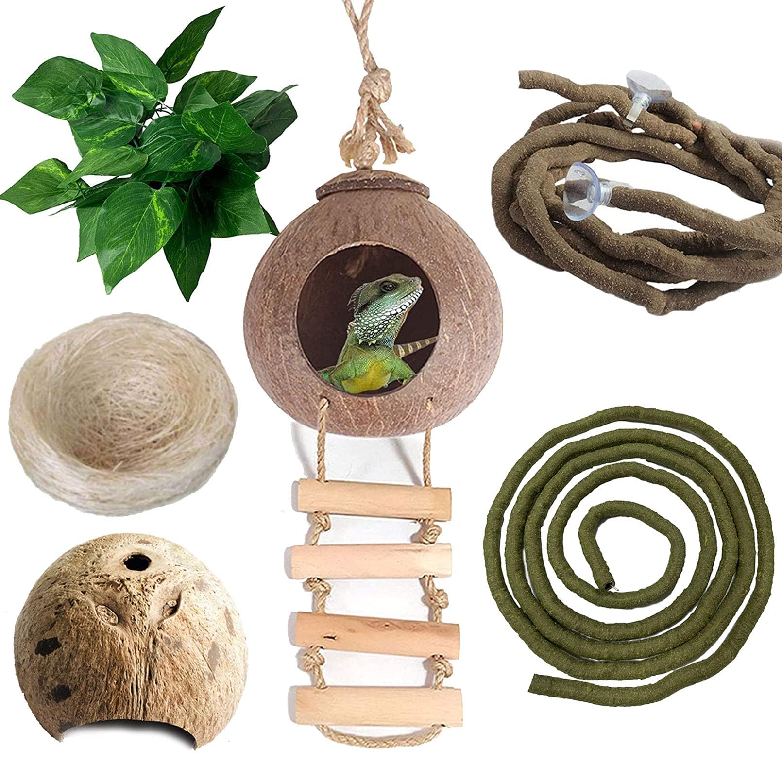 Amazon.com : kathson Lizard Coco Den with Ladder, Reptile Hideouts ...