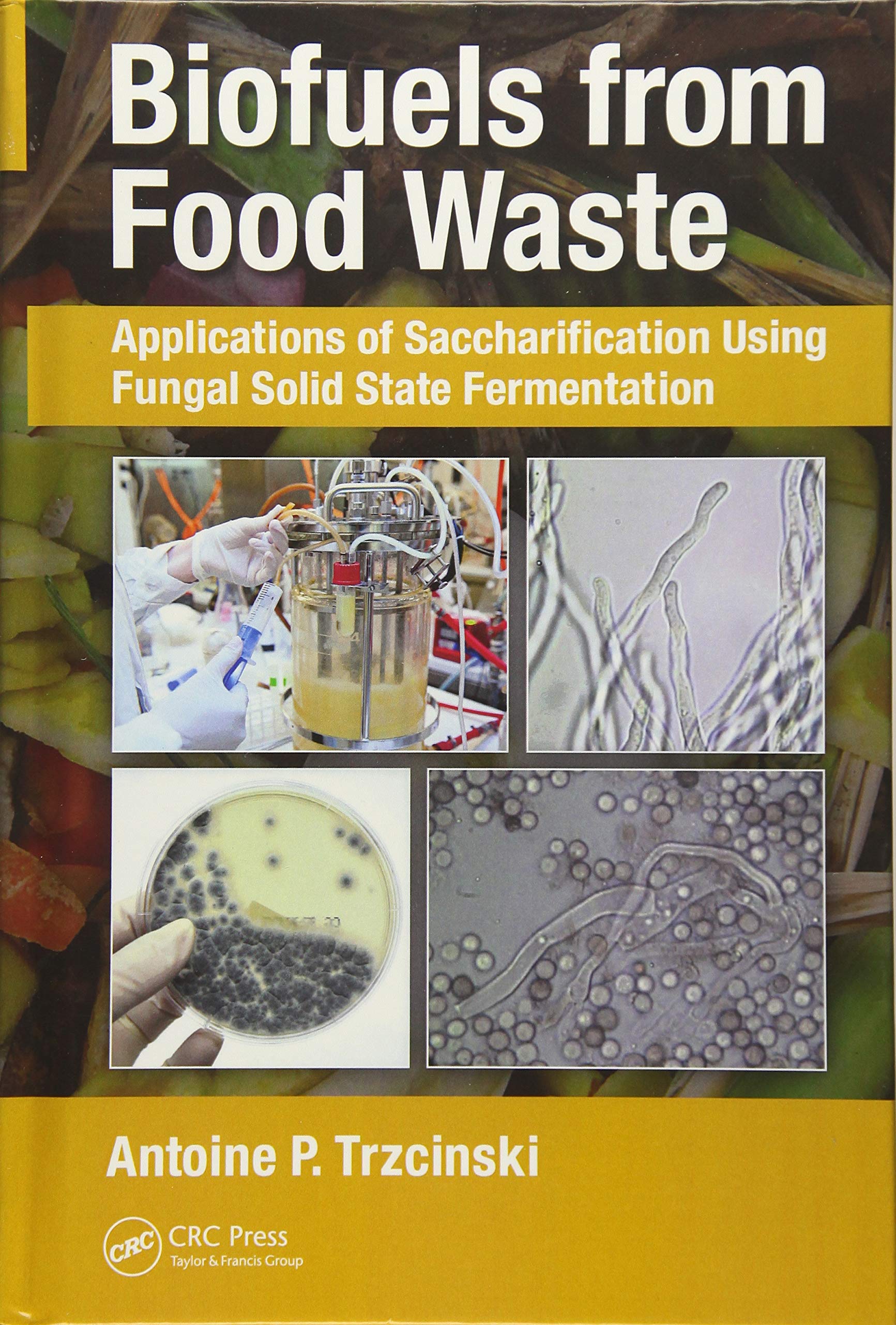 Buy Biofuels from Food Waste: Applications of Saccharification using ...