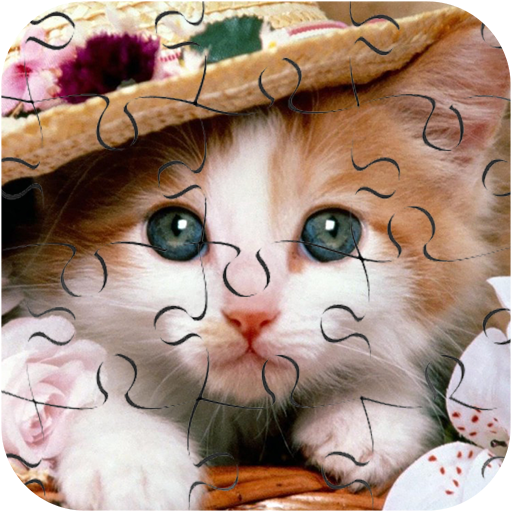 puzzle:Amazon.com:Appstore for Android