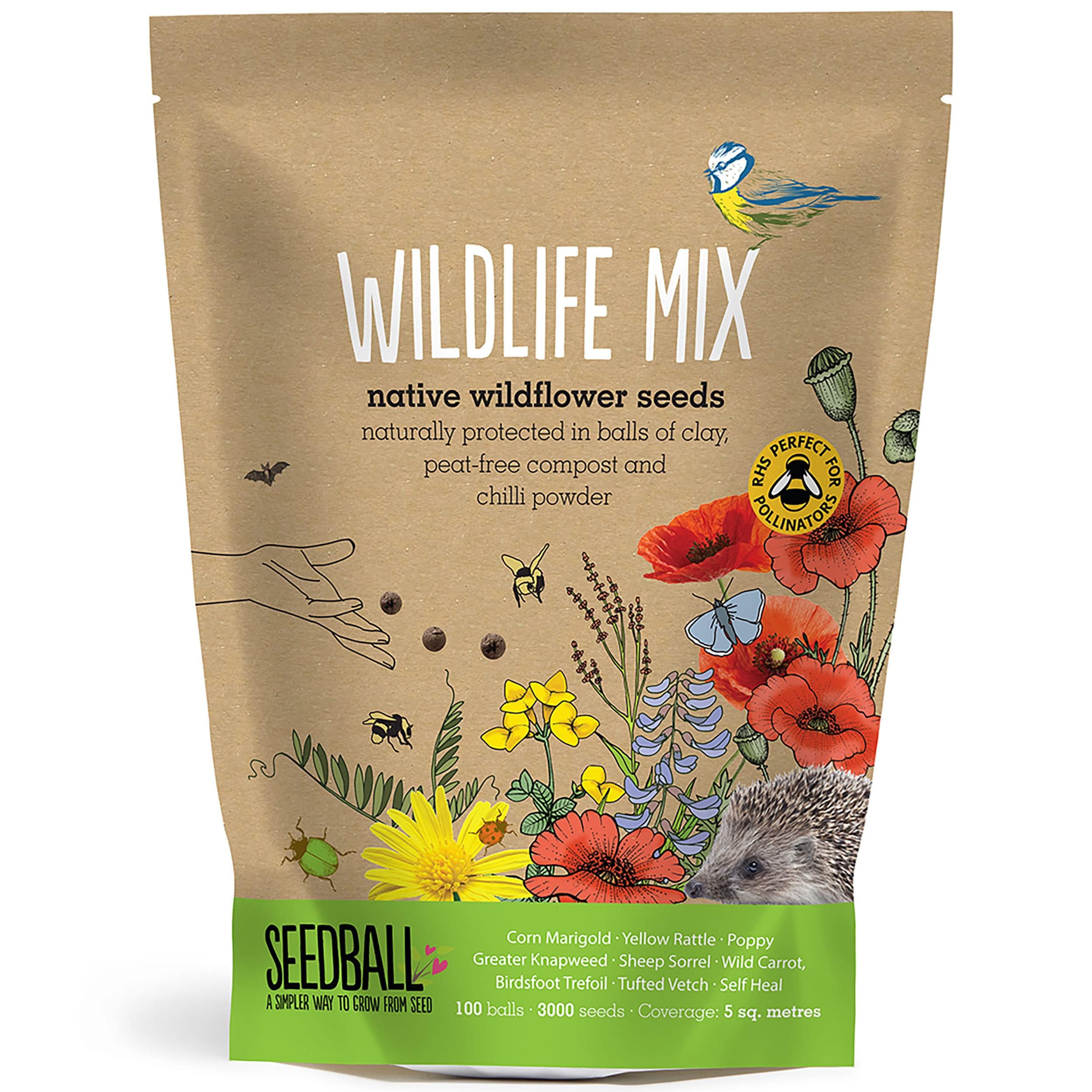 Seed Bombs For Gardening Wild Flower Seed Bombs Seed BeeBalls Seed Clay ...