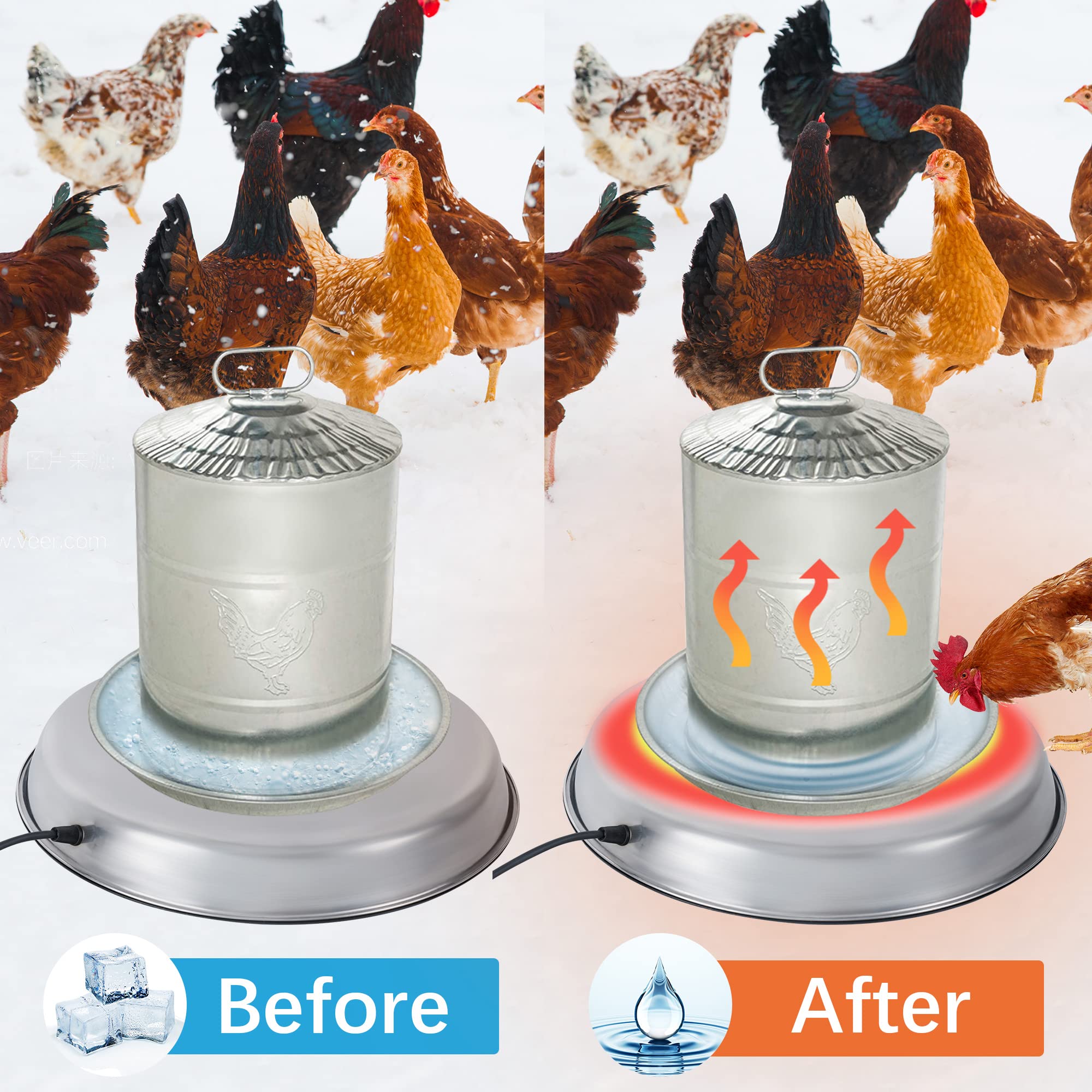 EVERYGROW Chicken Water Heater, Poultry Water Heater for Winter ...