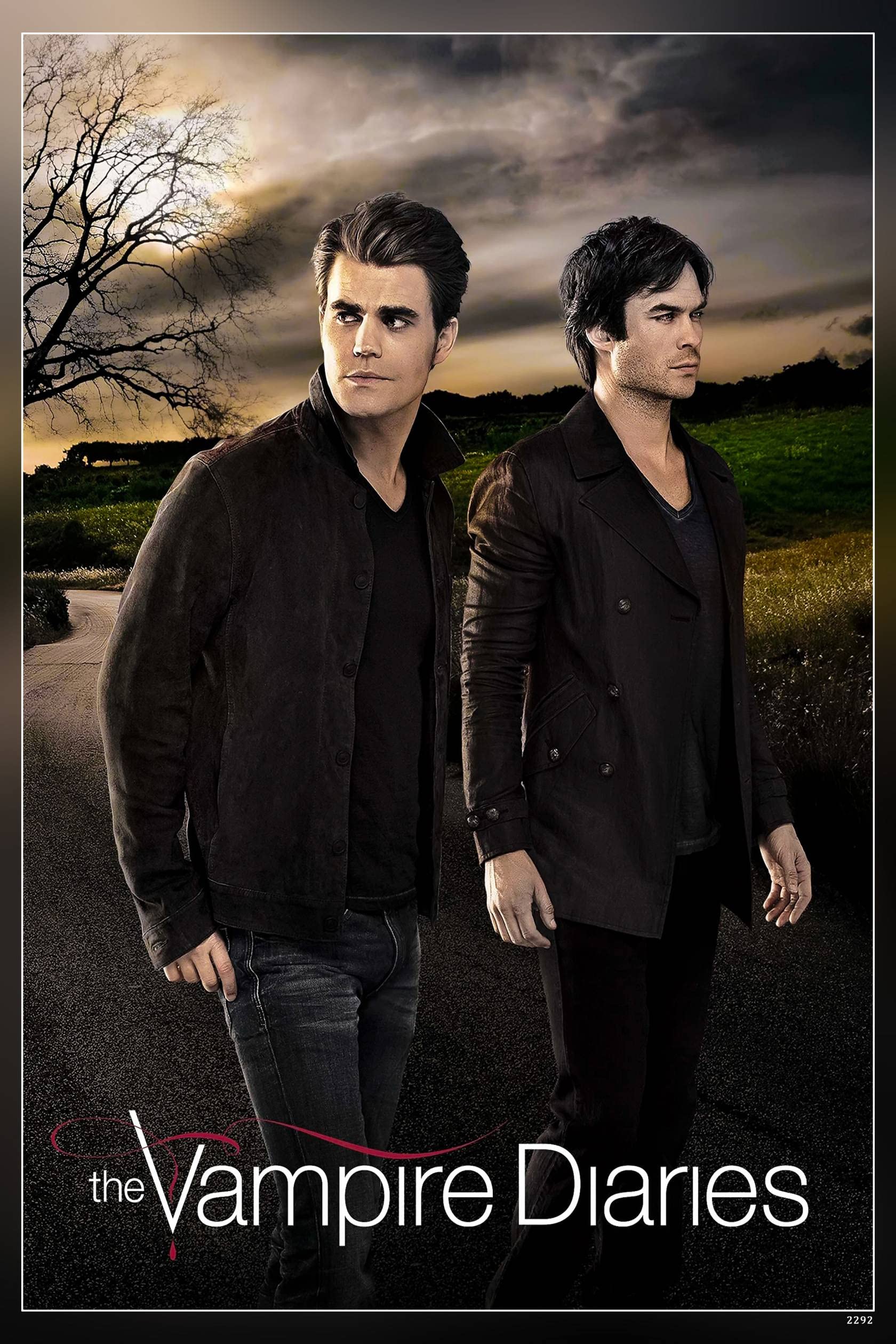 Vampire Diaries Damon Poster