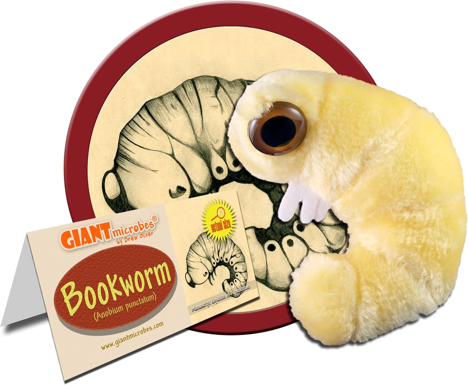 Amazon.com: GIANTmicrobes Bookworm Plush – Learn About Science ...