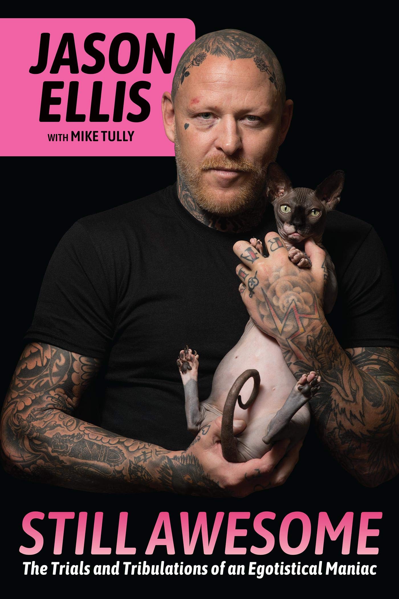 Jason Ellis Mostra Tully Mike Tully (@Tully) / X