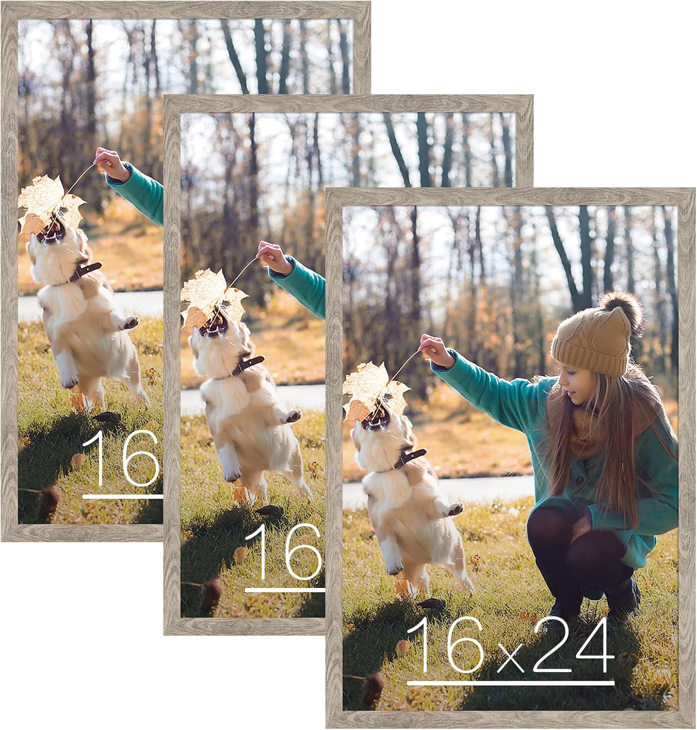 Amazon.com - HLiWEGNS 16x24 Picture Frame, Poster Frame 24x16 inch ...