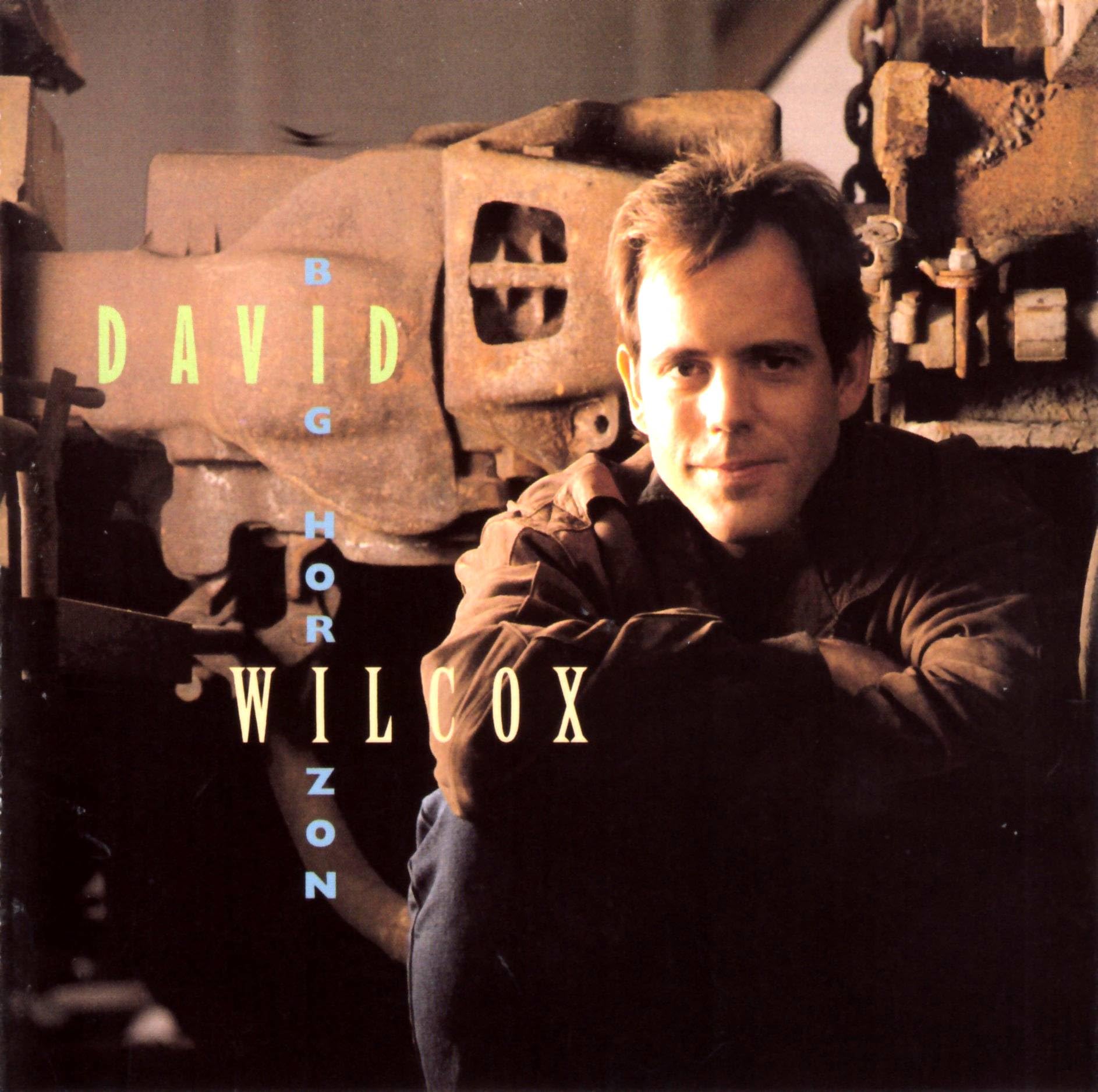 Wilcox, David - Big Horizon - Amazon.com Music
