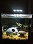 Tetra LED Cube Kit 3G : Amazon.ca: Pet Supplies