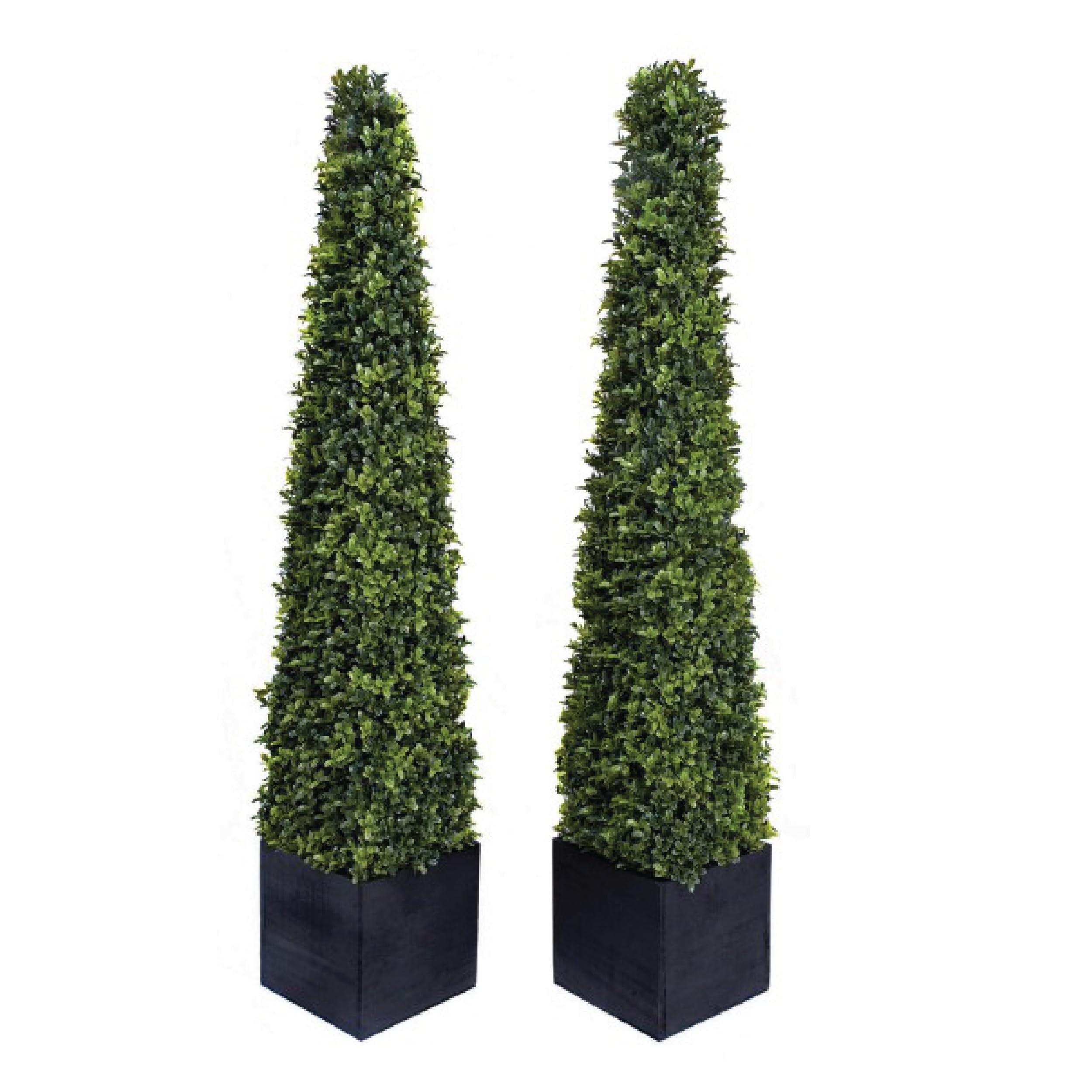 Greenbrokers 2 X Artificial Boxwood Topiary Pyramid Trees In Black ...
