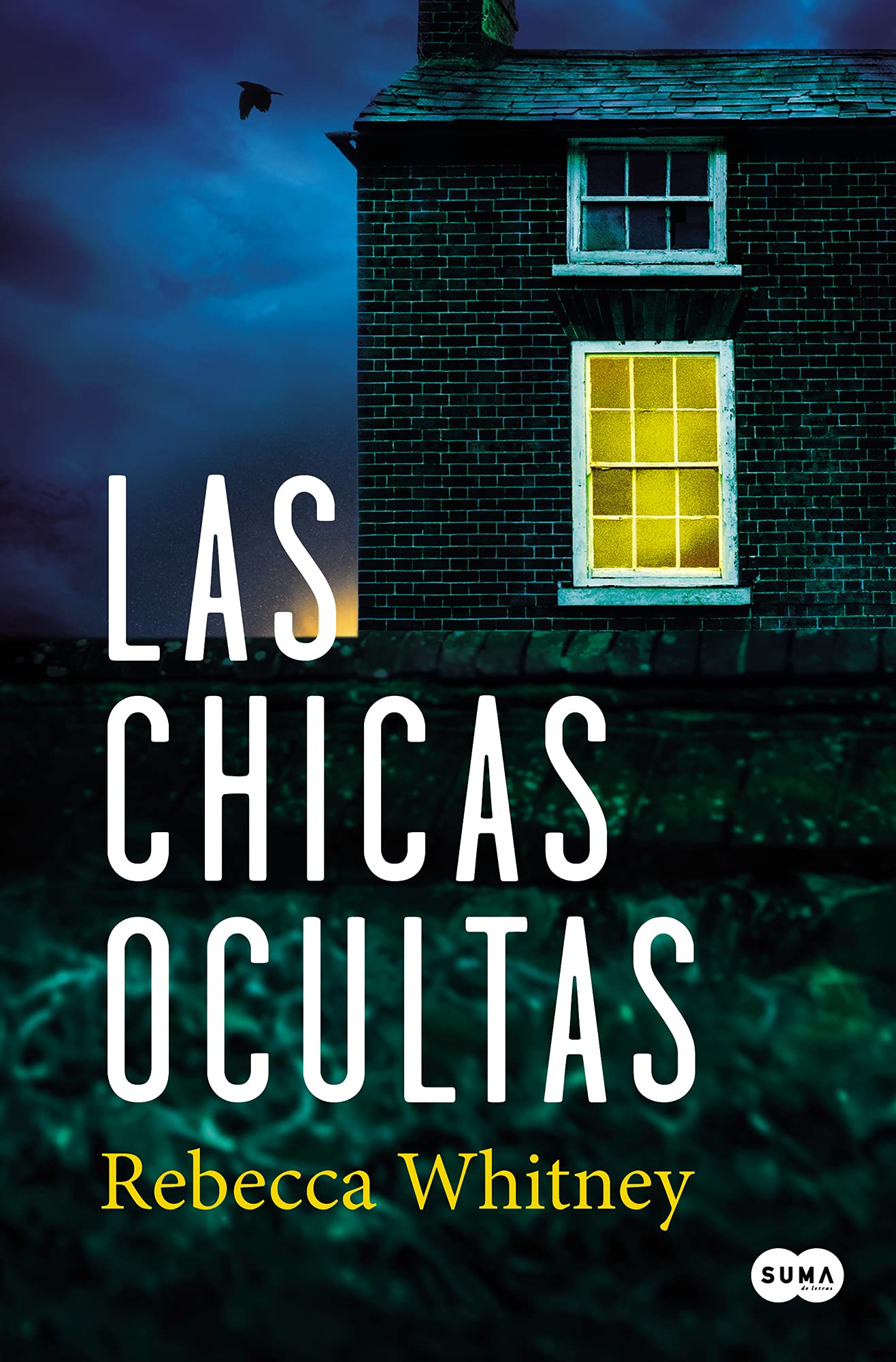 Las chicas ocultas / The Hidden Girls (Spanish Edition): Whitney ...