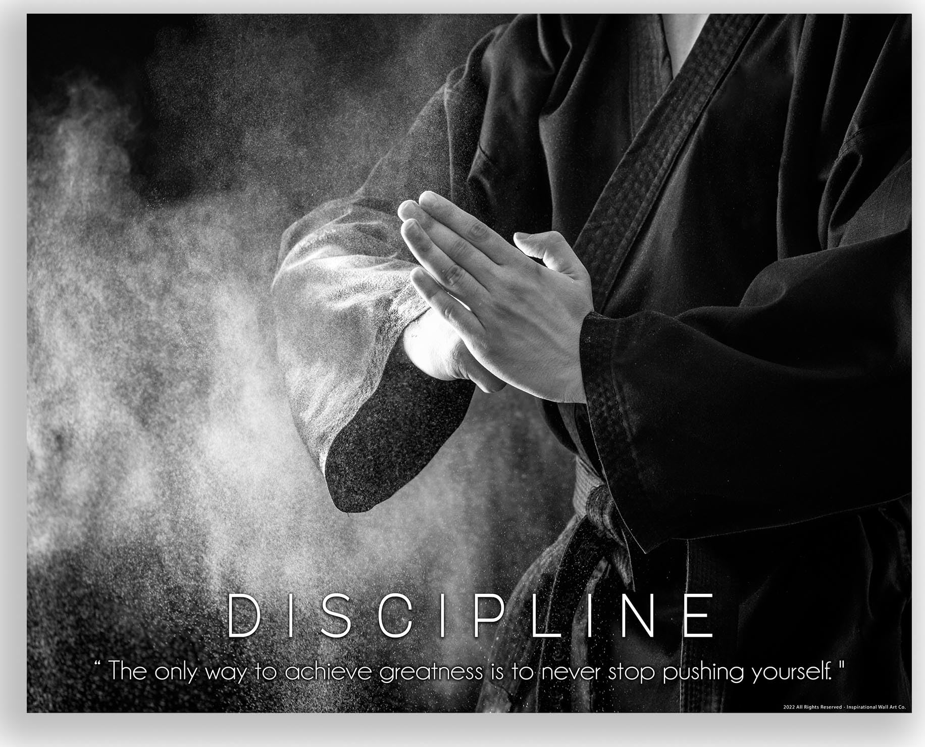 Amazon.com: Discipline Karate Jiu-Jitsu Brazilian Martial Arts Moves ...