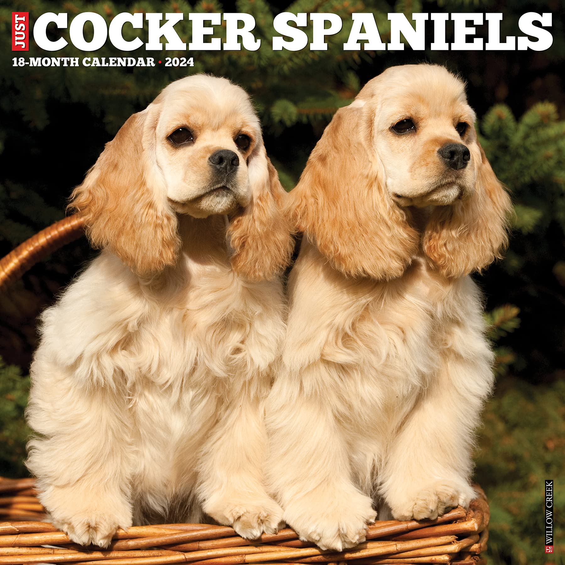 Amazon.com: Just Cocker Spaniels 2024 Calendar: 9781549233159: Willow ...