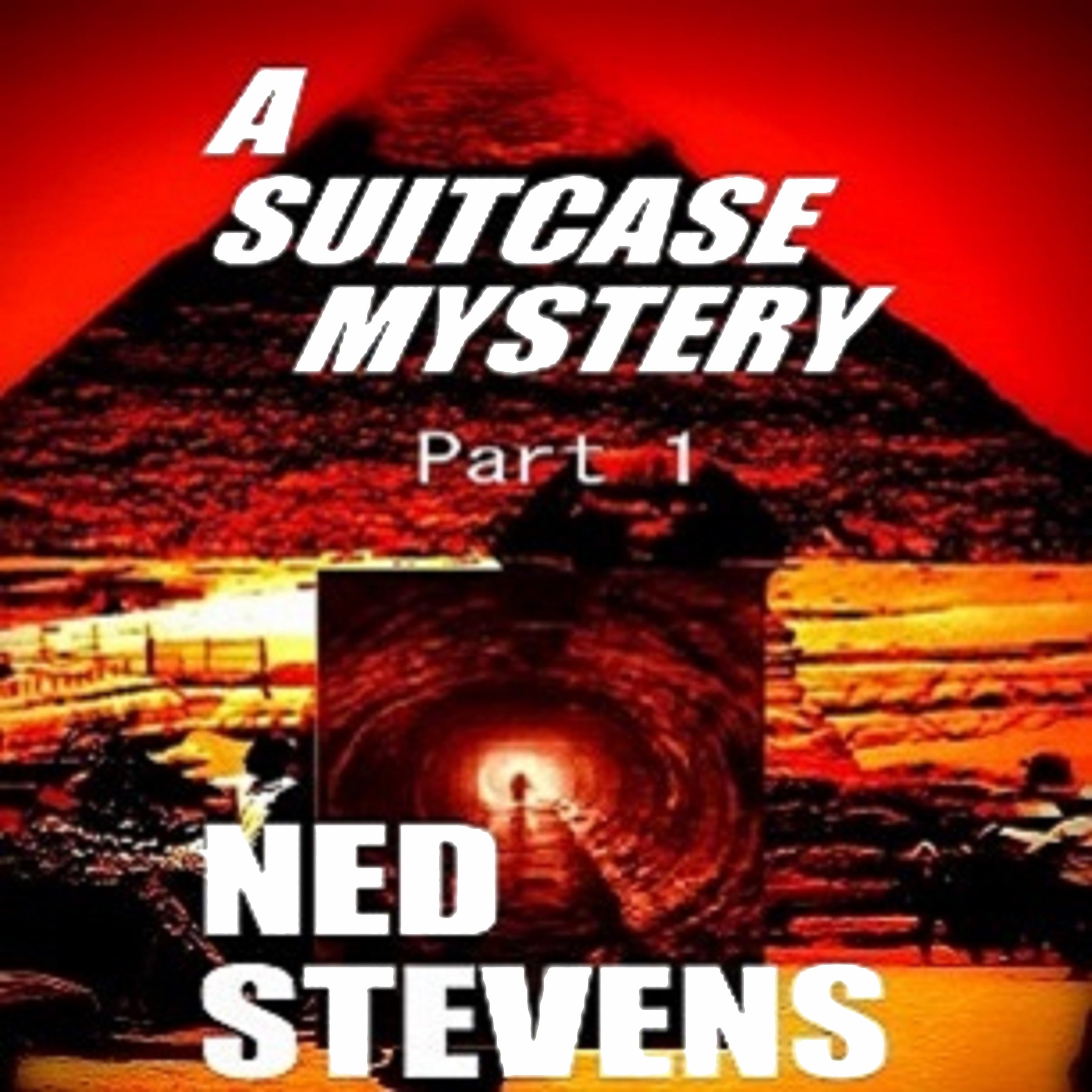 Ned Stevens Logo
